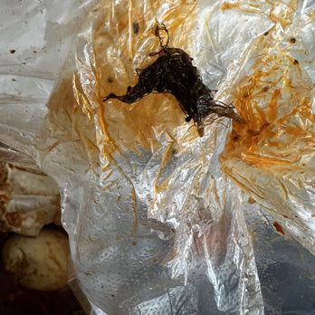 2AM PROJECT - Updated January 2025 - 43 Photos & 18 Reviews - 2339 ...