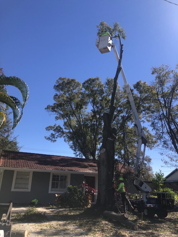 SILVERSON TREE SERVICES & LANDSCAPING - Updated April 2026 - 1700 66th ...