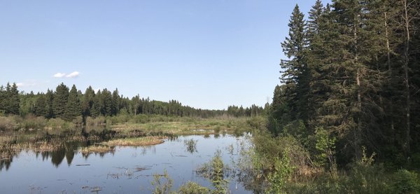 RIDING MOUNTAIN NATIONAL PARK - Updated May 2026 - 135 Wasagaming Drive ...