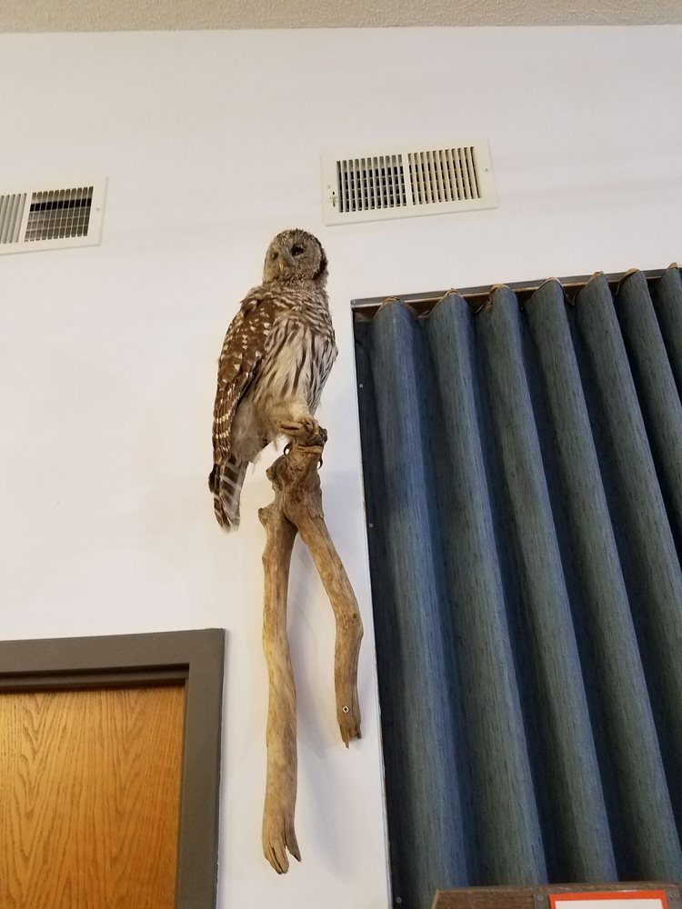 NERSTRAND BIG WOODS STATE PARK - Updated August 2025 - 64 Photos & 18 ...