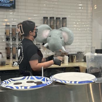 POLAR PLAYGROUND - Updated August 2025 - 1898 Photos & 737 Reviews ...