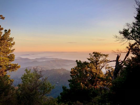 MOUNT TAMALPAIS STATE PARK - Updated July 2024 - 1309 Photos & 423 ...