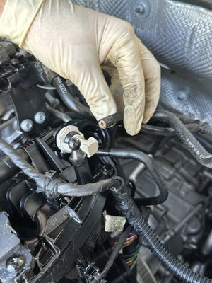 SPEEDEE-MIDAS - Updated December 2025 - 36 Photos & 249 Reviews - 8573 ...