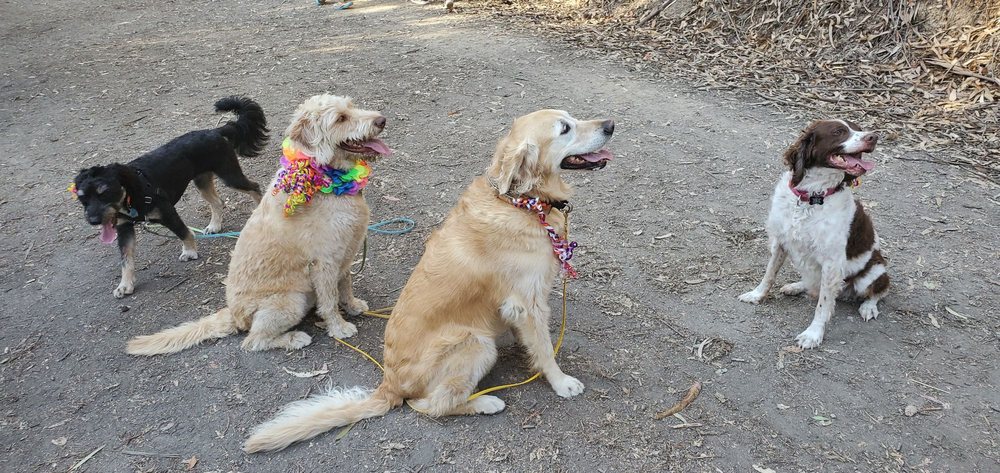 STRAWBERRY CANYON FIRE ROAD TRAIL - Updated August 2025 - 13 Photos ...