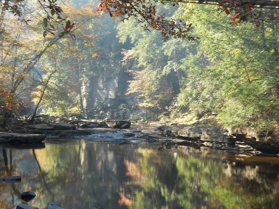 CANEY CREEK CASCADE FALLS - 20 Photos - Fall Creek Falls State Park ...