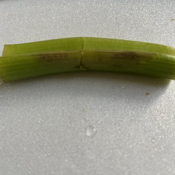 PENALTY BOX - Updated December 2025 - 42 Reviews - 3277 Pittston Ave ...