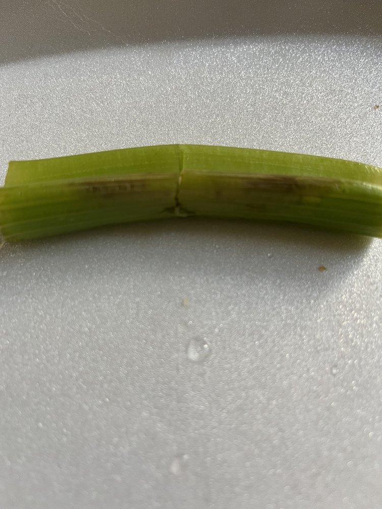 PENALTY BOX - Updated December 2025 - 42 Reviews - 3277 Pittston Ave ...