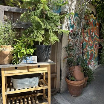 YUKO KITCHEN DTLA - Updated January 2025 - 1223 Photos & 583 Reviews ...