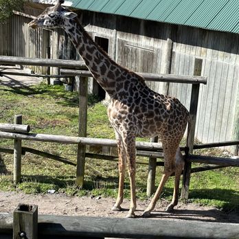 VIRGINIA ZOO - Updated June 2024 - 1521 Photos & 235 Reviews - 3500 ...