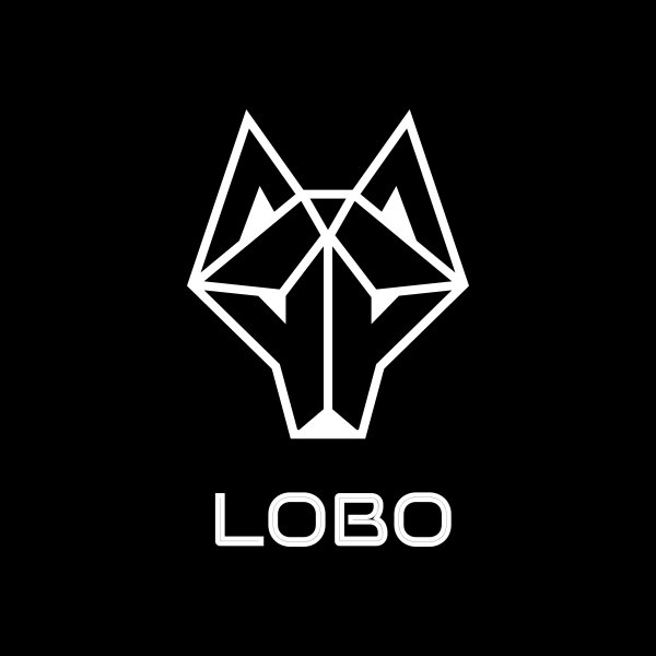 LOBO WEB DESIGN - Updated February 2025 - Request Consultation - 1230 ...
