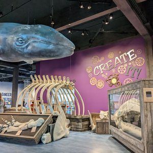 IMAGINE CHILDREN’S MUSEUM - 327 Photos & 204 Reviews - 1502 Wall St ...