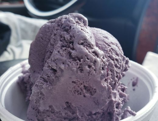 MEDORA FUDGE & ICE CREAM DEPOT - Updated June 2024 - 12 Photos & 27 ...