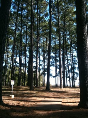 BRAHAN SPRING DISC GOLF COURSE - 2920 1st St SW, Huntsville, Alabama ...
