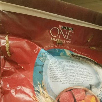 NESTLE PURINA PETCARE COMPANY - Updated January 2026 - 4555 York St ...