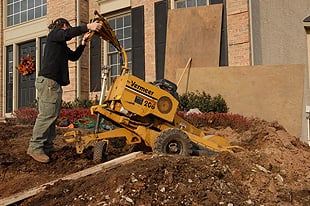 DAVE’S TREE SERVICE - Updated October 2025 - 1173 Manette Cir, Daytona ...