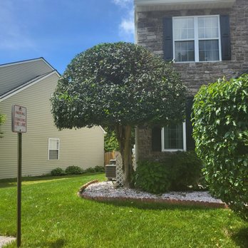 JL TREE SERVICE - Updated October 2025 - 134 Photos & 145 Reviews ...