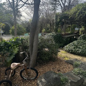 FLOWER FARM CAFE - Updated December 2025 - 315 Photos & 291 Reviews ...