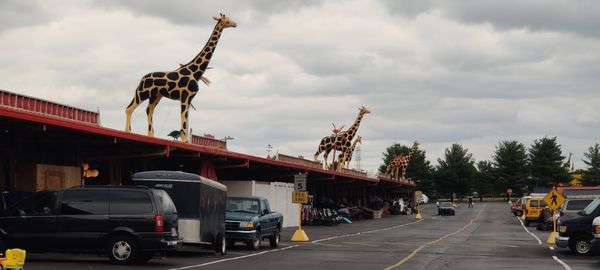 TRADERS WORLD - Updated January 2026 - 235 Photos & 101 Reviews - 601 ...