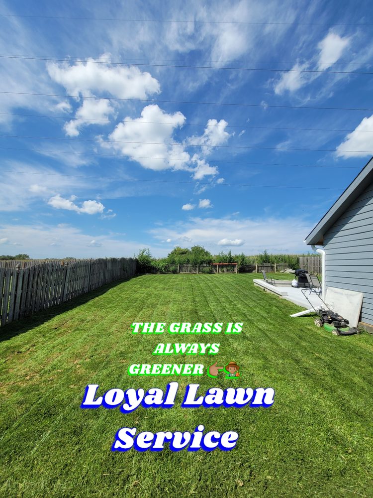 LOYAL LAWN SERVICES - Updated January 2026 - 13 Photos - Omaha ...