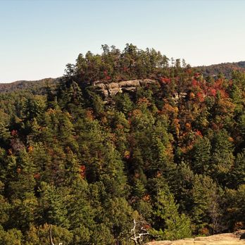 NATURAL BRIDGE STATE PARK - Updated August 2024 - 580 Photos & 74 ...