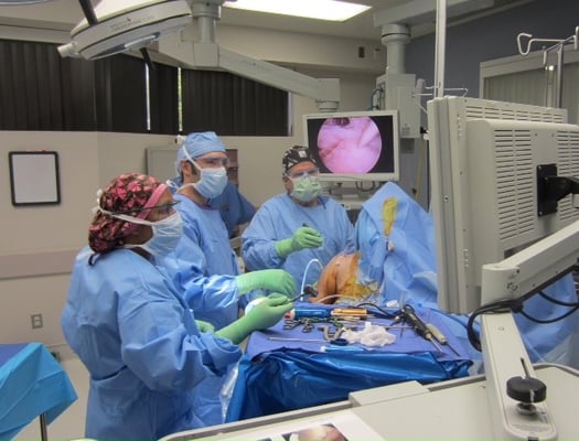 MCSWEENEY JAMES E MD - Updated October 2025 - 12 Reviews - 3704 Ruffin ...