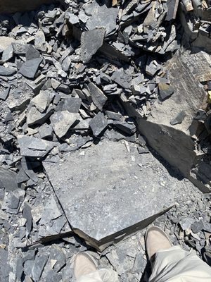 U-DIG FOSSILS - Updated October 2025 - 58 Photos & 31 Reviews - Death ...