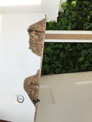 SUDDATH - Updated July 2025 - 27 Photos & 99 Reviews - 2020 South 10th ...