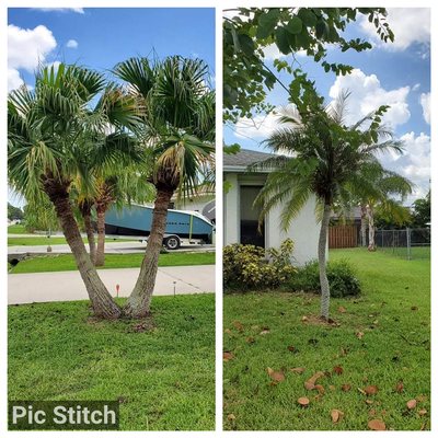 SKIM & TRIM - Updated April 2025 - 20 Photos - Port St. Lucie, Florida ...