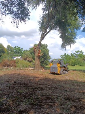 DANNY RAY’S TREE SERVICE - Updated July 2025 - 310 Michigan Ave ...