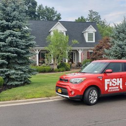 Fish Window Cleaning Reviews | Read Customer Service Reviews of ...