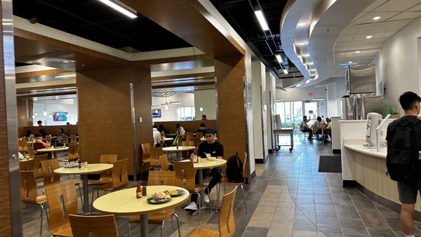 UNIVERSITY OF SOUTH FLORIDA - Updated December 2025 - 139 Photos & 74 ...