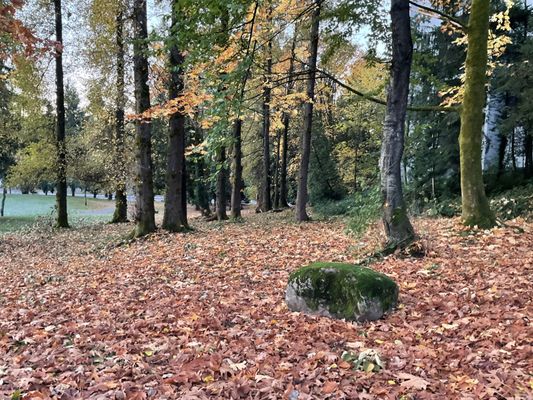 KESWICK PARK - Updated October 2025 - 281 Photos - 9452 Cardston Court ...