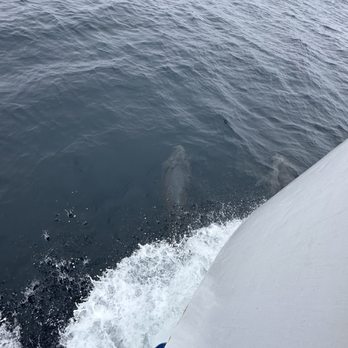 PIERPOINT LANDING - Updated September 2025 - 216 Photos & 225 Reviews ...