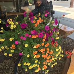 BLACK BEAR DINER - BEND - Updated June 2025 - 158 Photos & 235 Reviews ...