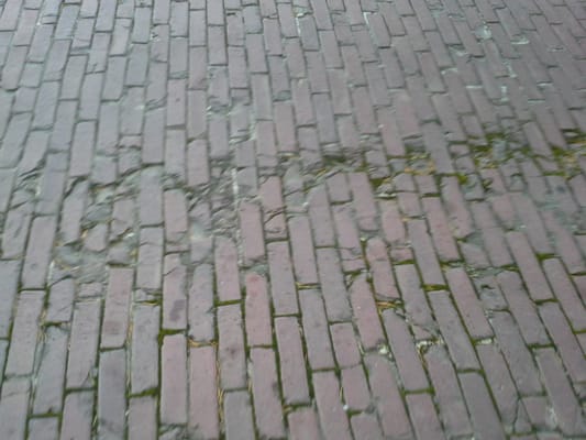 RED BRICK ROAD - Updated July 2025 - 196TH Ave NE, Redmond, Washington ...