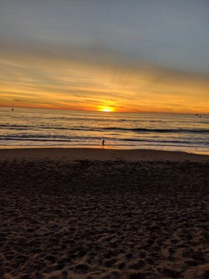 DEL REY LAGOON - 109 Photos & 44 Reviews - 6660 Esplanade Pl, Playa Del ...