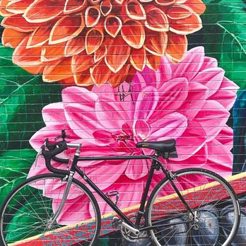 VALENCIA CYCLERY REPAIR SHOP - Updated May 2026 - 179 Reviews - 1077 ...