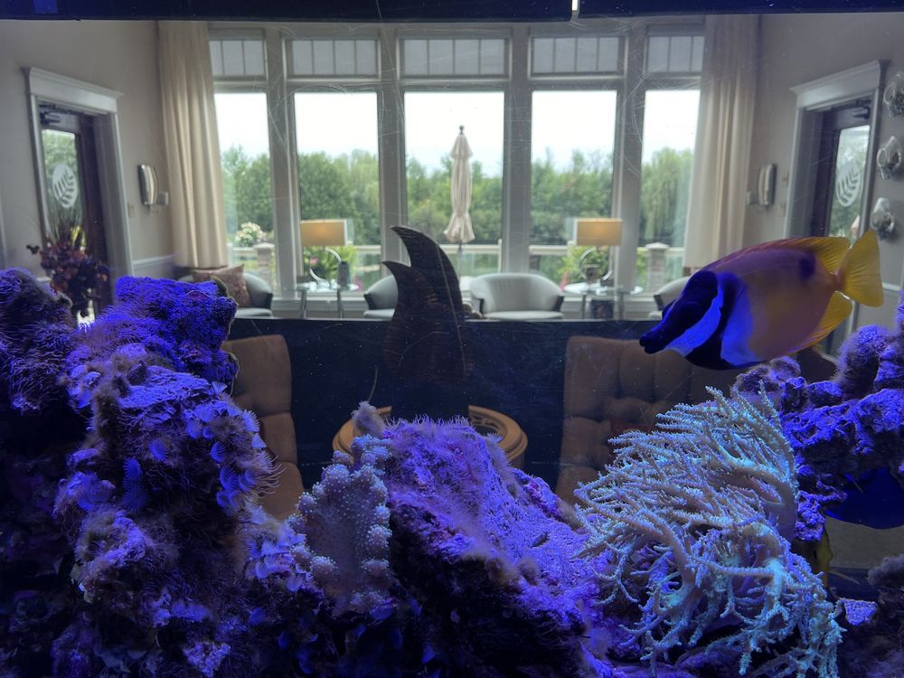 MAHOGANY SALON AND SPA - Updated July 2025 - 369 Napoleon Street ...