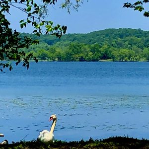 LAKE TIORATI BEACH - HARRIMAN STATE PARK - Updated May 2024 - 21 Photos ...