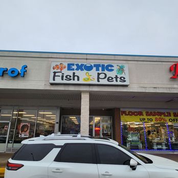 EXOTIC FISH & PETS - Updated January 2025 - 13 Photos - 3272 N 5th St ...
