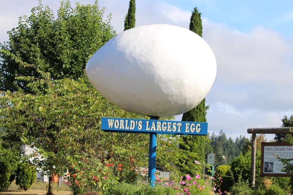 WORLD’S LARGEST EGG - Updated August 2024 - 38 Photos & 10 Reviews ...