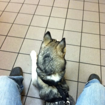 PENDER VETERINARY CENTRE - FAIRFAX - Updated October 2025 - 101 Photos ...