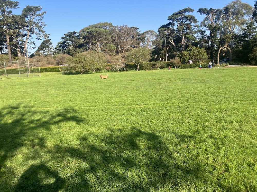 GOLDEN GATE PARK KEZAR TRIANGLE - Updated February 2026 - 11 Photos ...