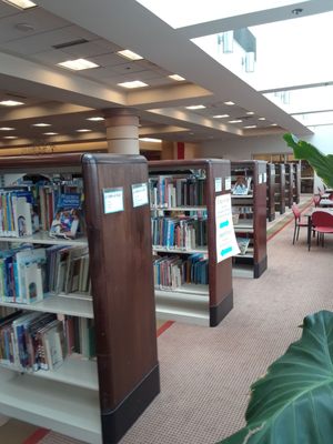 Z J LOUSSAC PUBLIC LIBRARY - Updated October 2025 - 44 Photos & 29 ...