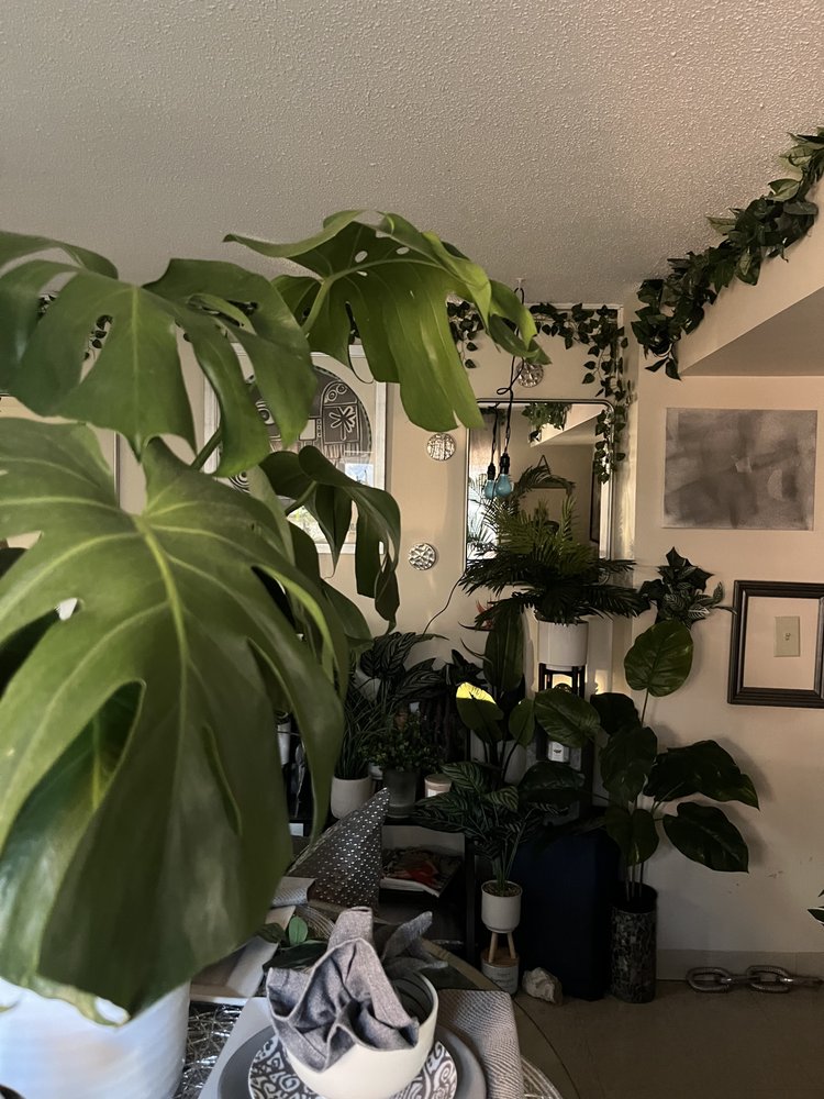 YVETTE JAWAD INTERIOR DESIGN & LANDSCAPING - Boston, Massachusetts ...