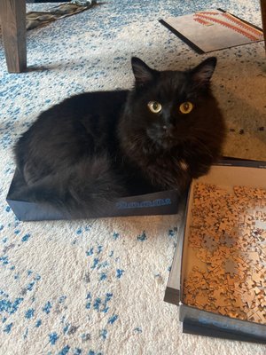 ONE WHITE WHISKER - Updated June 2026 - 163 Photos & 17 Reviews ...