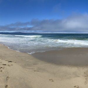 MARINA STATE BEACH - 408 Photos & 80 Reviews - 3001 Lake Dr, Marina, CA ...