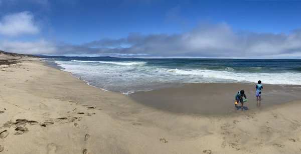 MARINA STATE BEACH - 408 Photos & 80 Reviews - 3001 Lake Dr, Marina, CA ...