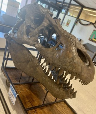 WOODSON REGIONAL, CHICAGO PUBLIC LIBRARY - Updated July 2025 - 26 ...