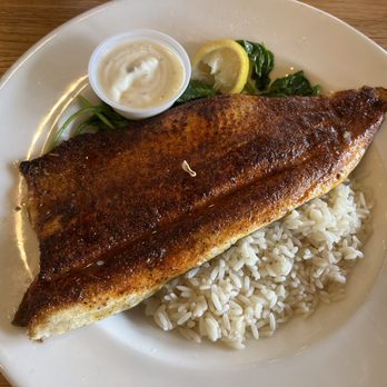 HALF SHELLS - Updated March 2025 - 98 Photos & 65 Reviews - 23501 Cinco ...